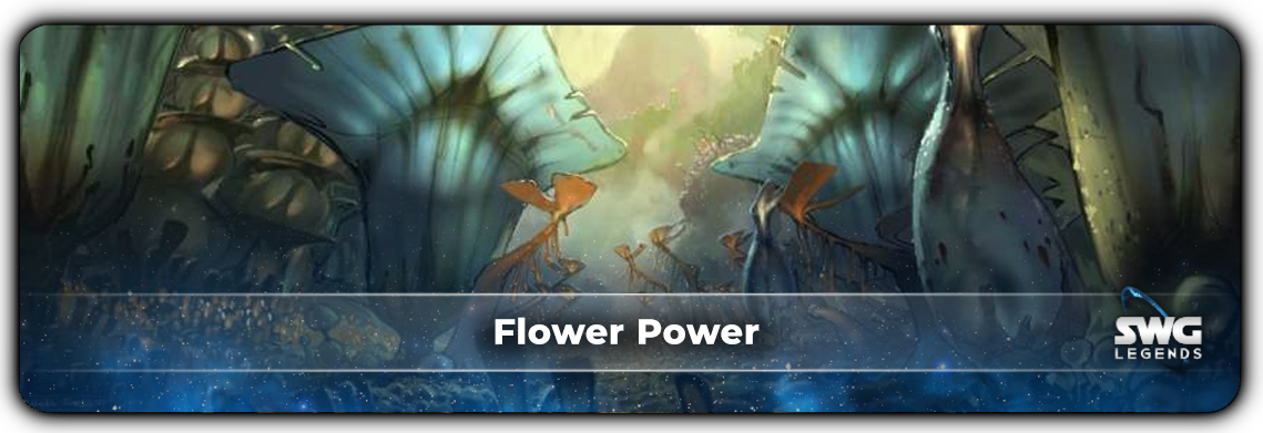 *Friday Feature: Flower Power*