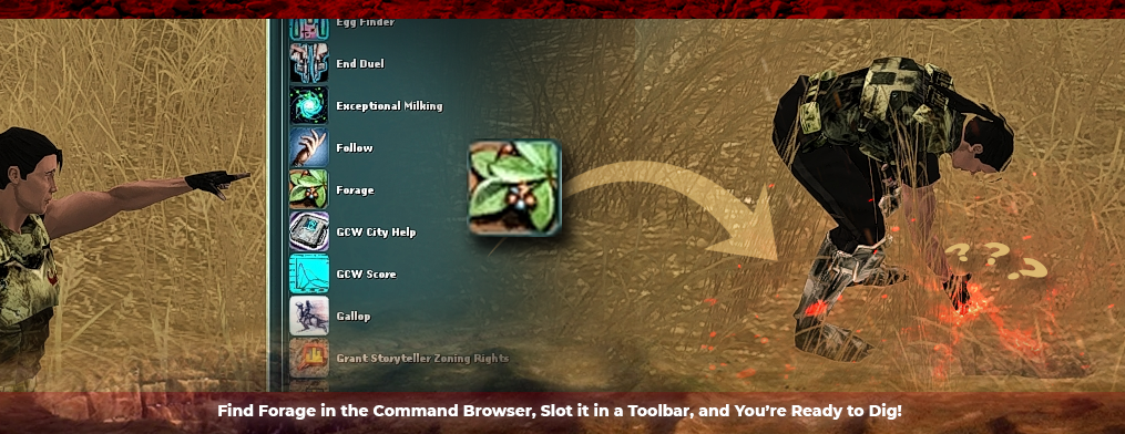 *Friday Feature - Foraging Guide*