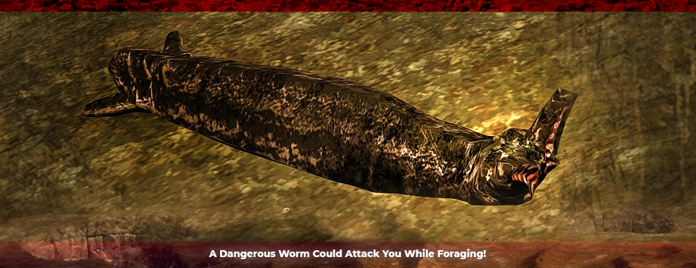 *Friday Feature - Foraging Guide*