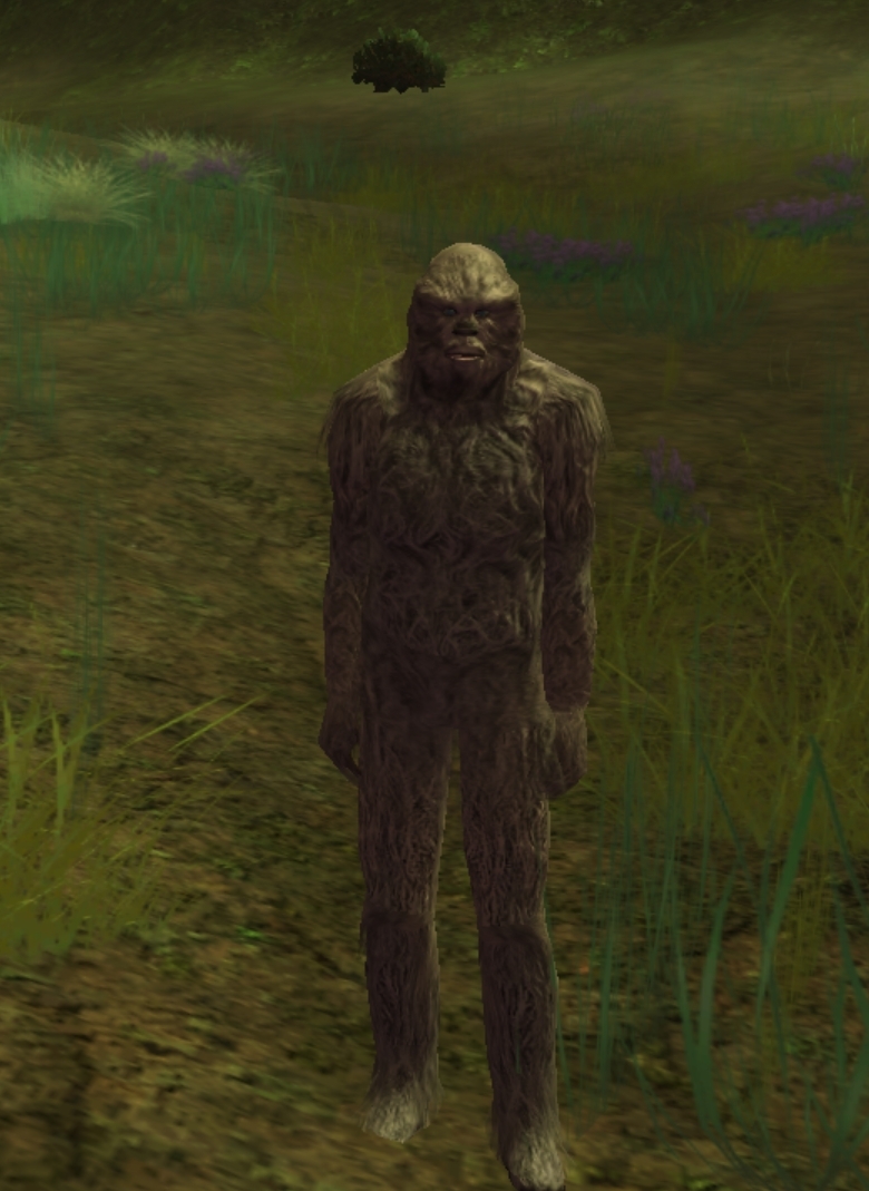 *Friday Feature - The Queen of Arcs*